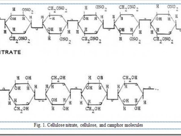 The History and Properties of Celluloid
